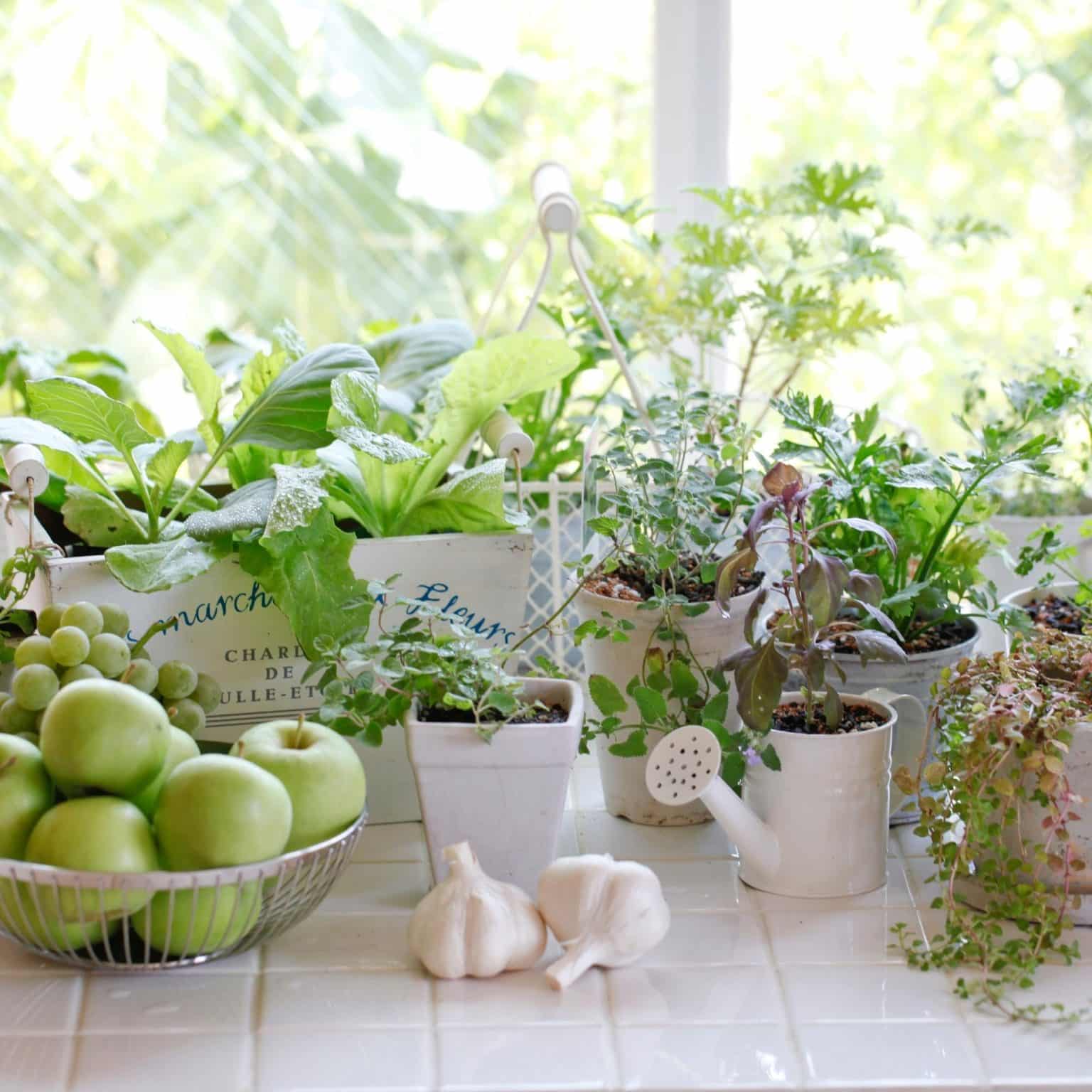 How to Grow A Salad Bowl Garden: A Simple Guide to Container Gardening ...