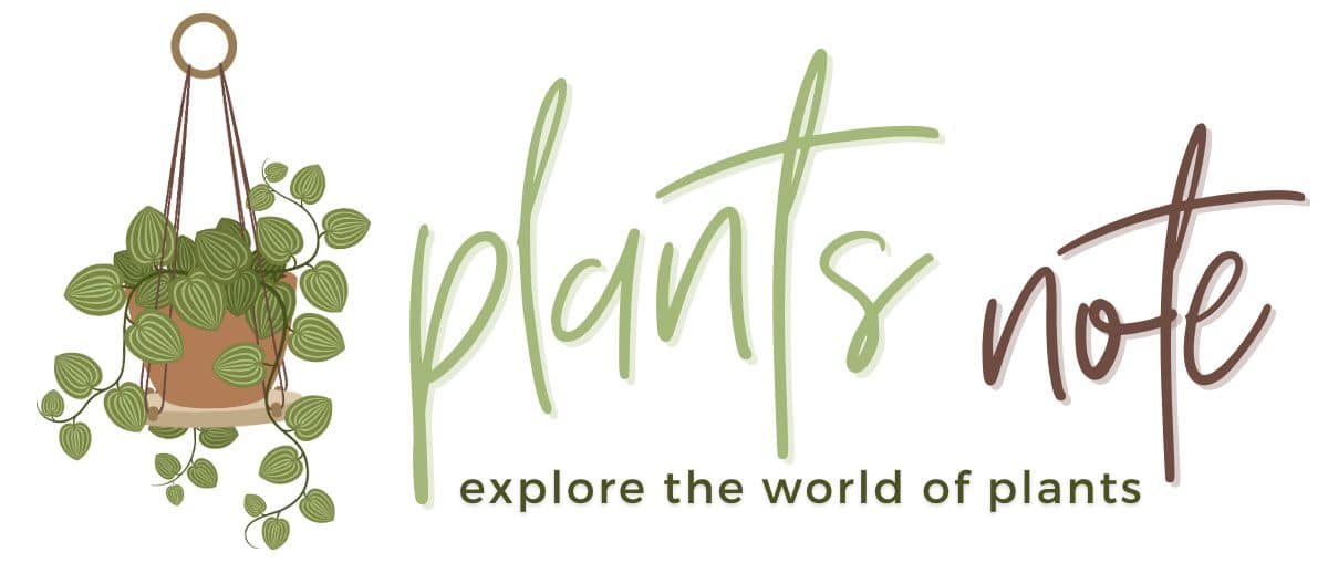 Plant Guide Archives - I Dig Carrots